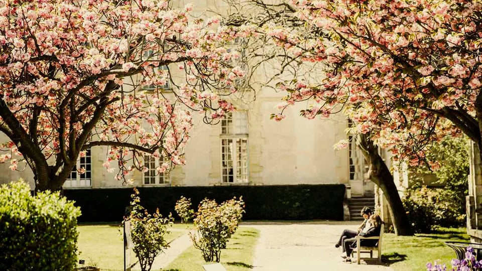 Romantic Paris - Paris Perfect